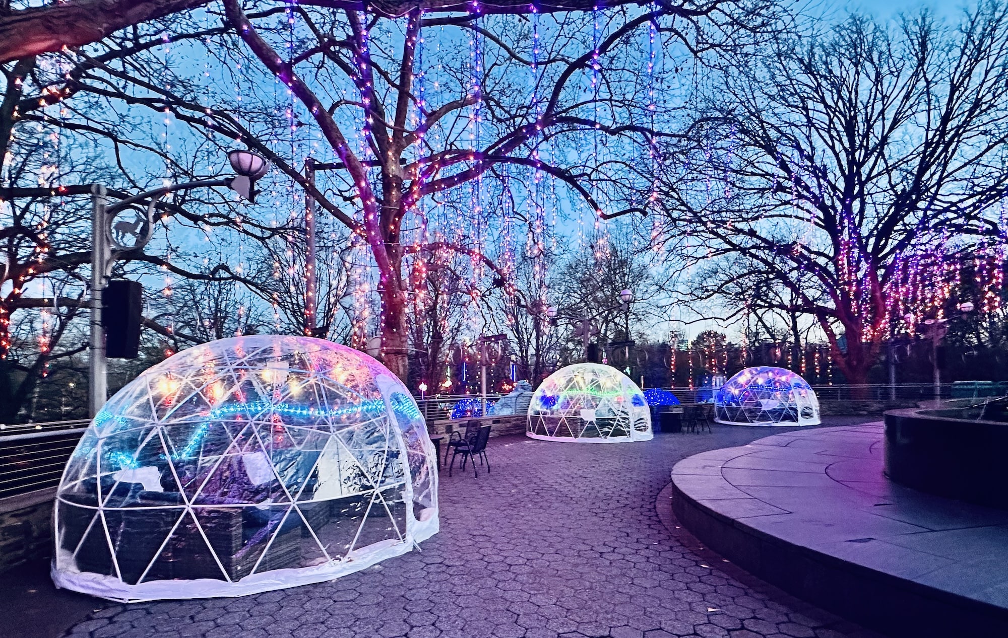 Luxury Igloo Rentals for NYC Events | New York Igloos